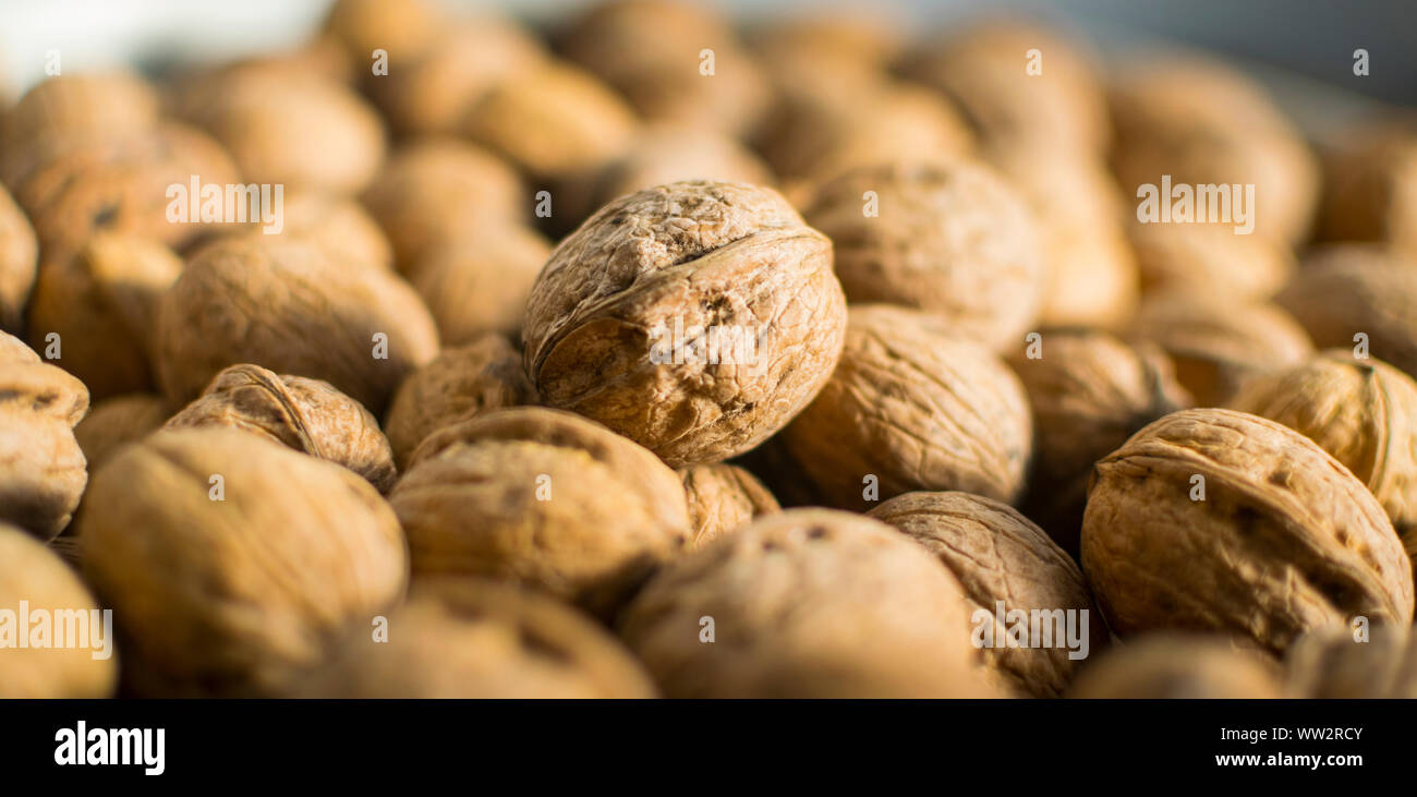 Fresh walnuts in shell. Selective focus photo Stock Photo - Alamy