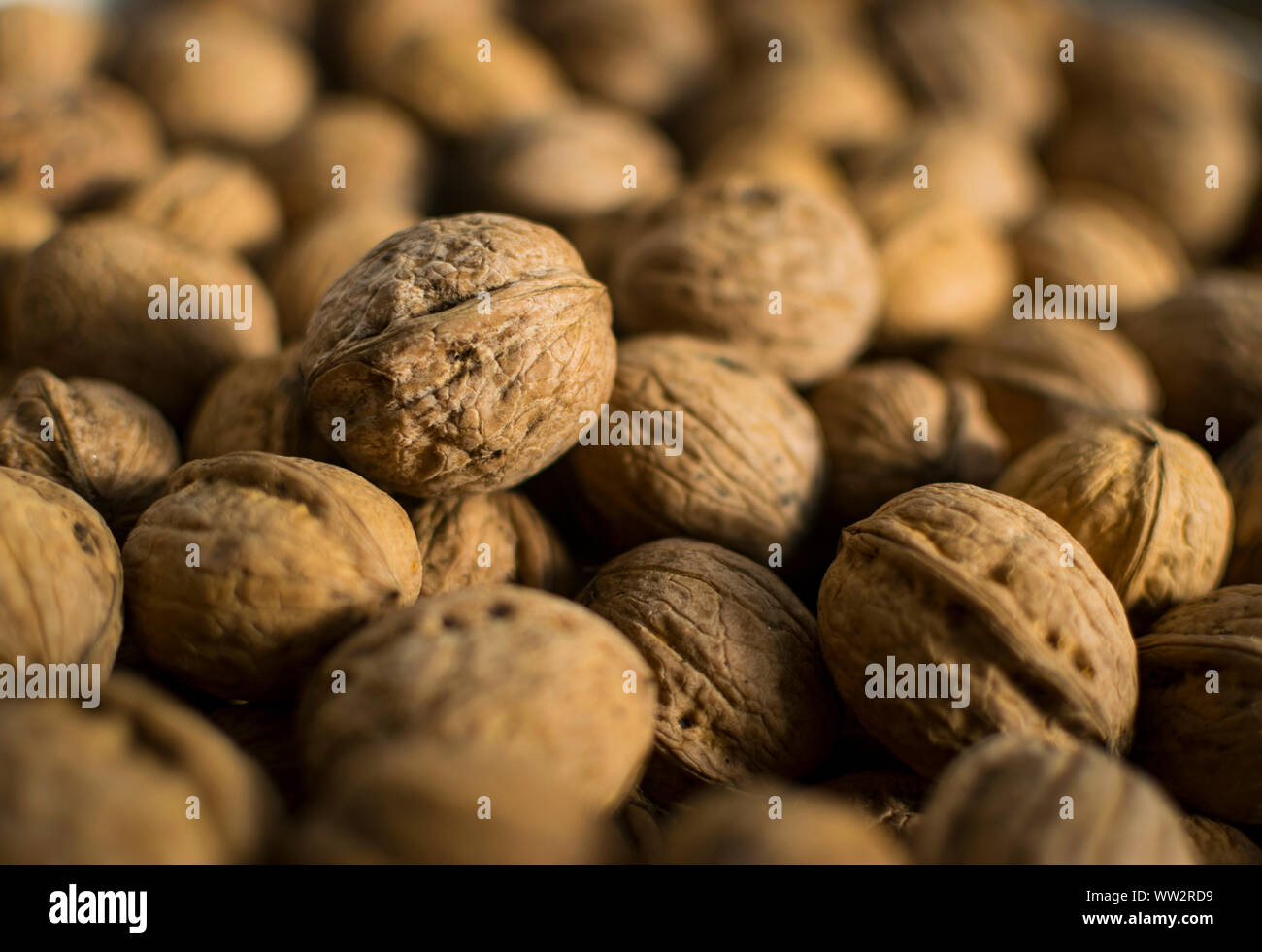 Fresh walnuts in shell. Selective focus photo Stock Photo - Alamy