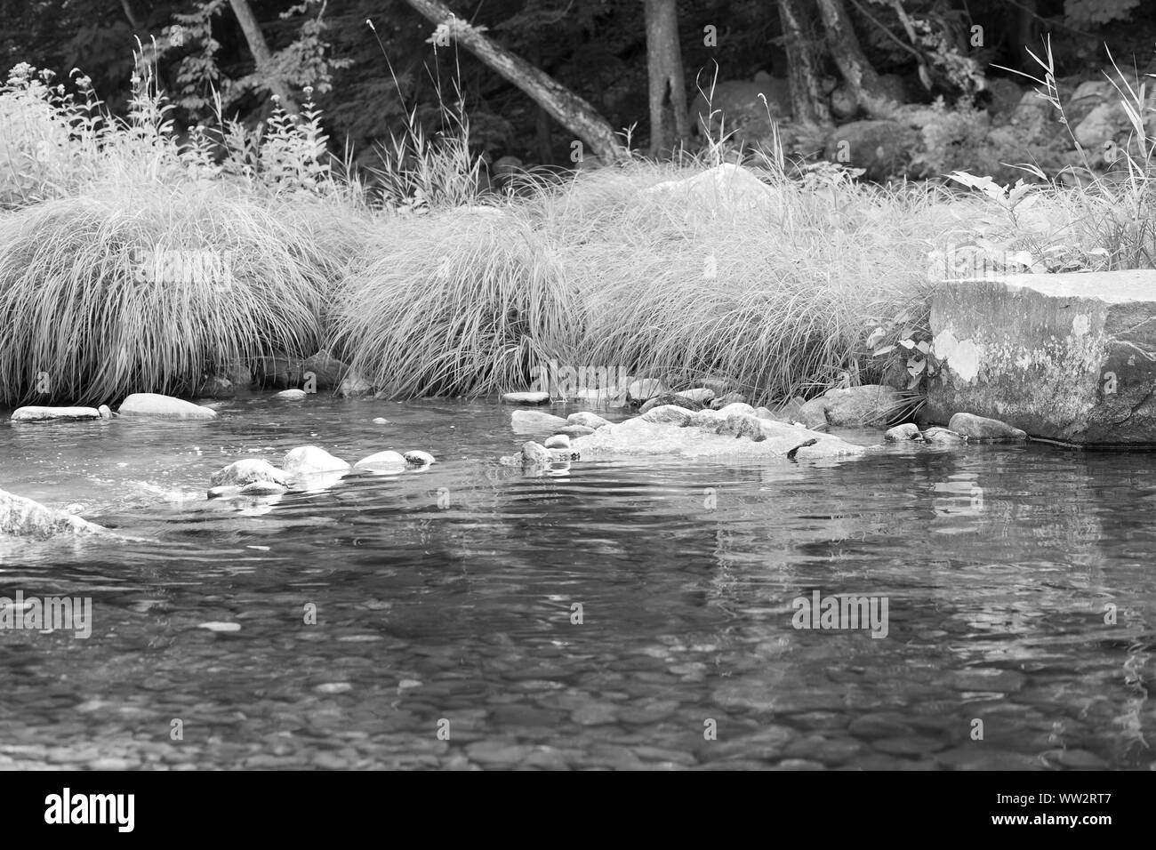 Low level view hi-res stock photography and images - Alamy