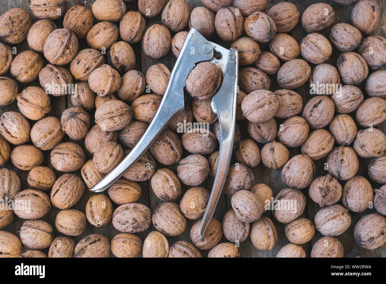 Nut cracker tool on bunch of fresh walnuts Stock Photo - Alamy