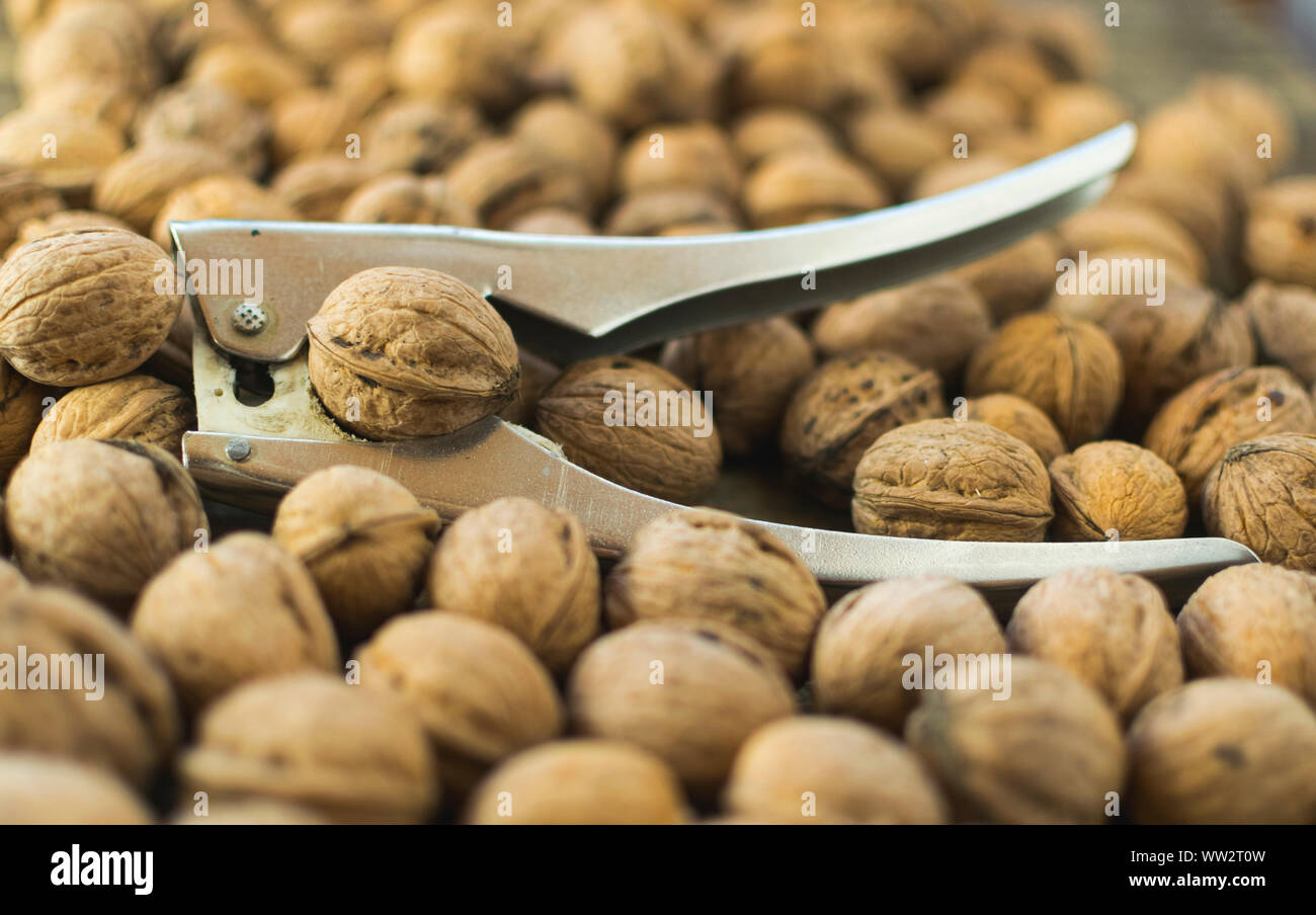 Nut cracker tool on bunch of fresh walnuts Stock Photo - Alamy