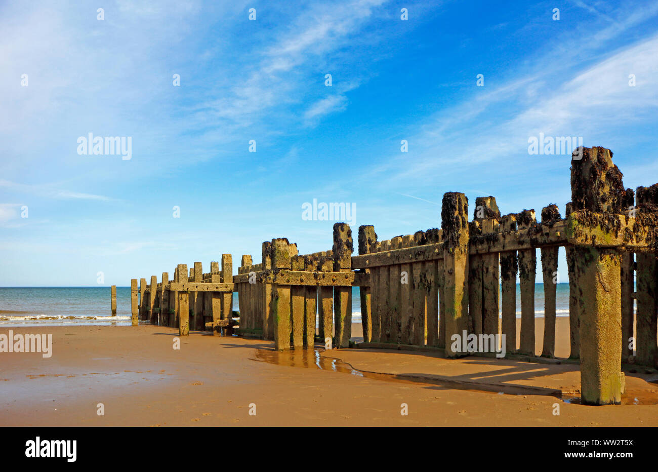 Coastal Environment Timber High Resolution Stock Photography and Images ...