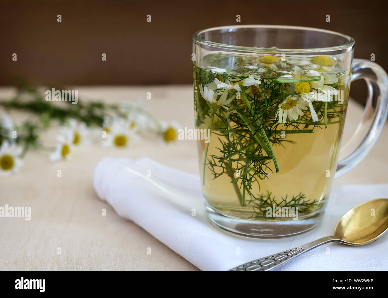 The flowers of the medicinal chamomile a decoction of the flowers Stock ...
