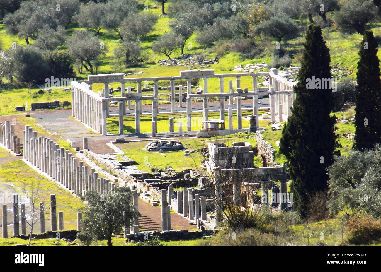 ancient, town, archeological, place, Messini, Messinia, Greece Stock ...