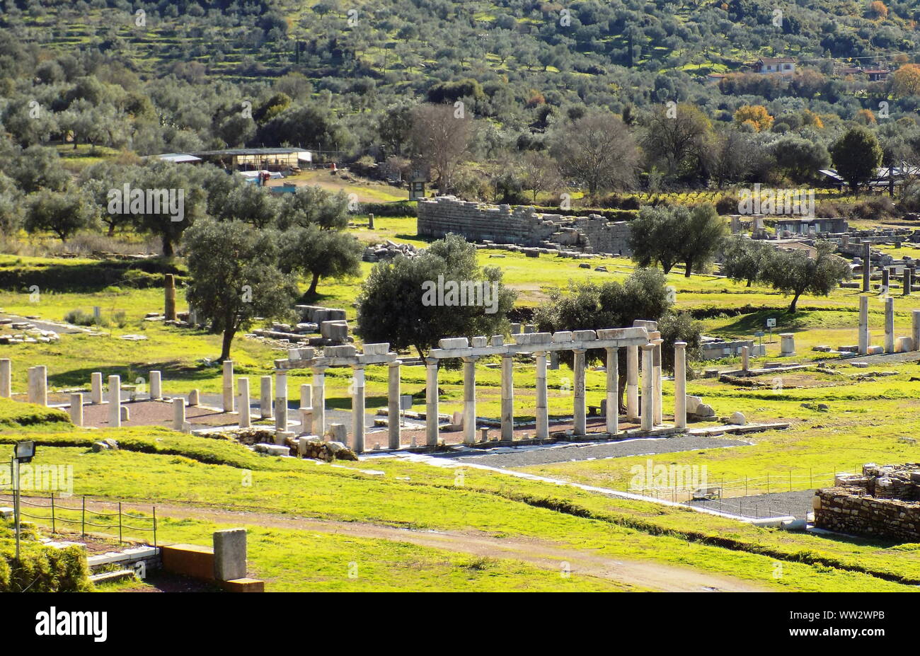 ancient, town, archeological, place, Messini, Messinia, Greece Stock ...