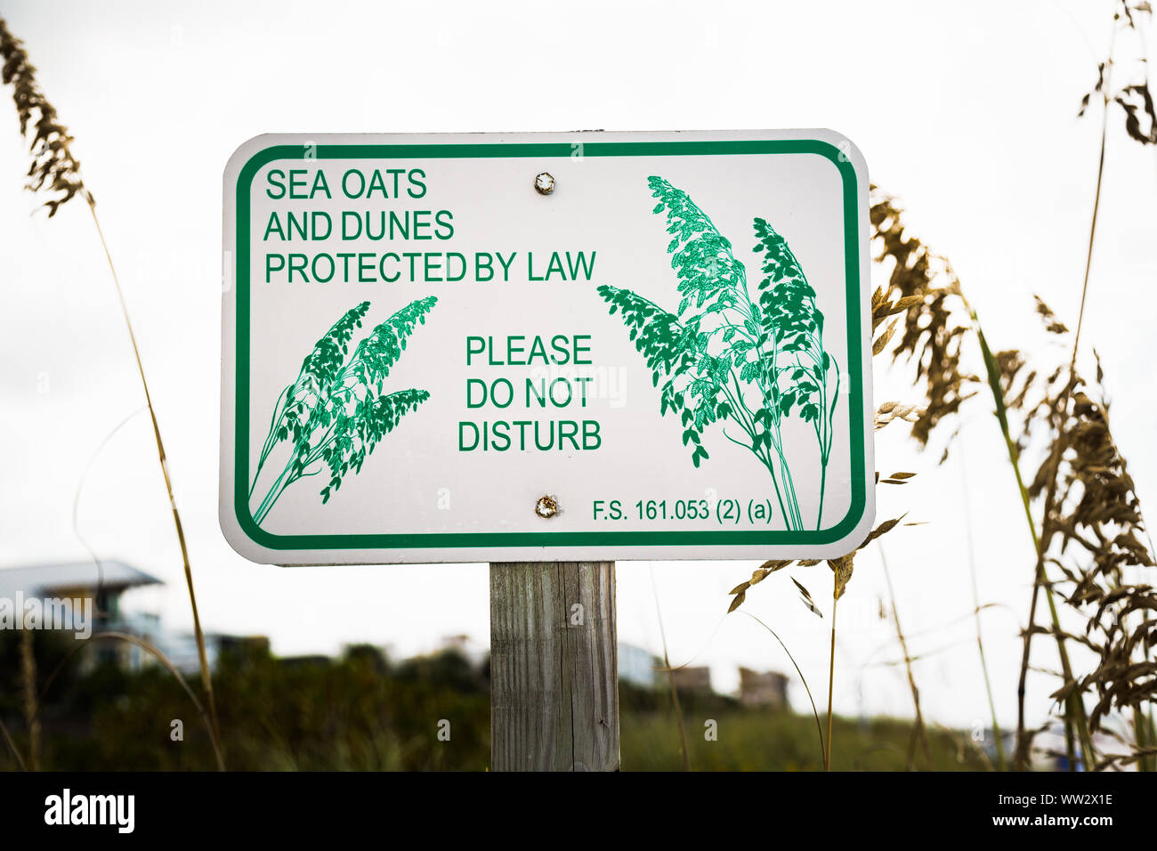 Sea Oats and Dune protection sign on the Gulf of Mexico, near ...