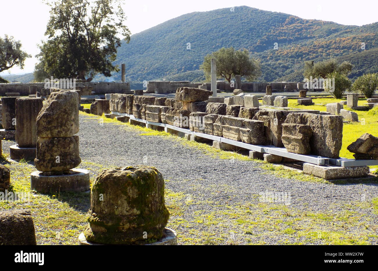 ancient, town, archeological, place, Messini, Messinia, Greece Stock ...