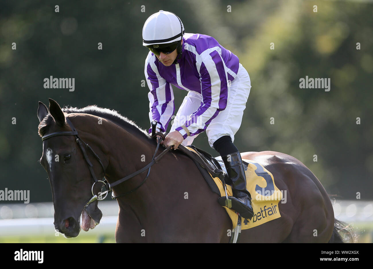 Jockey Wayne Lordan on So Perfect Stock Photo - Alamy