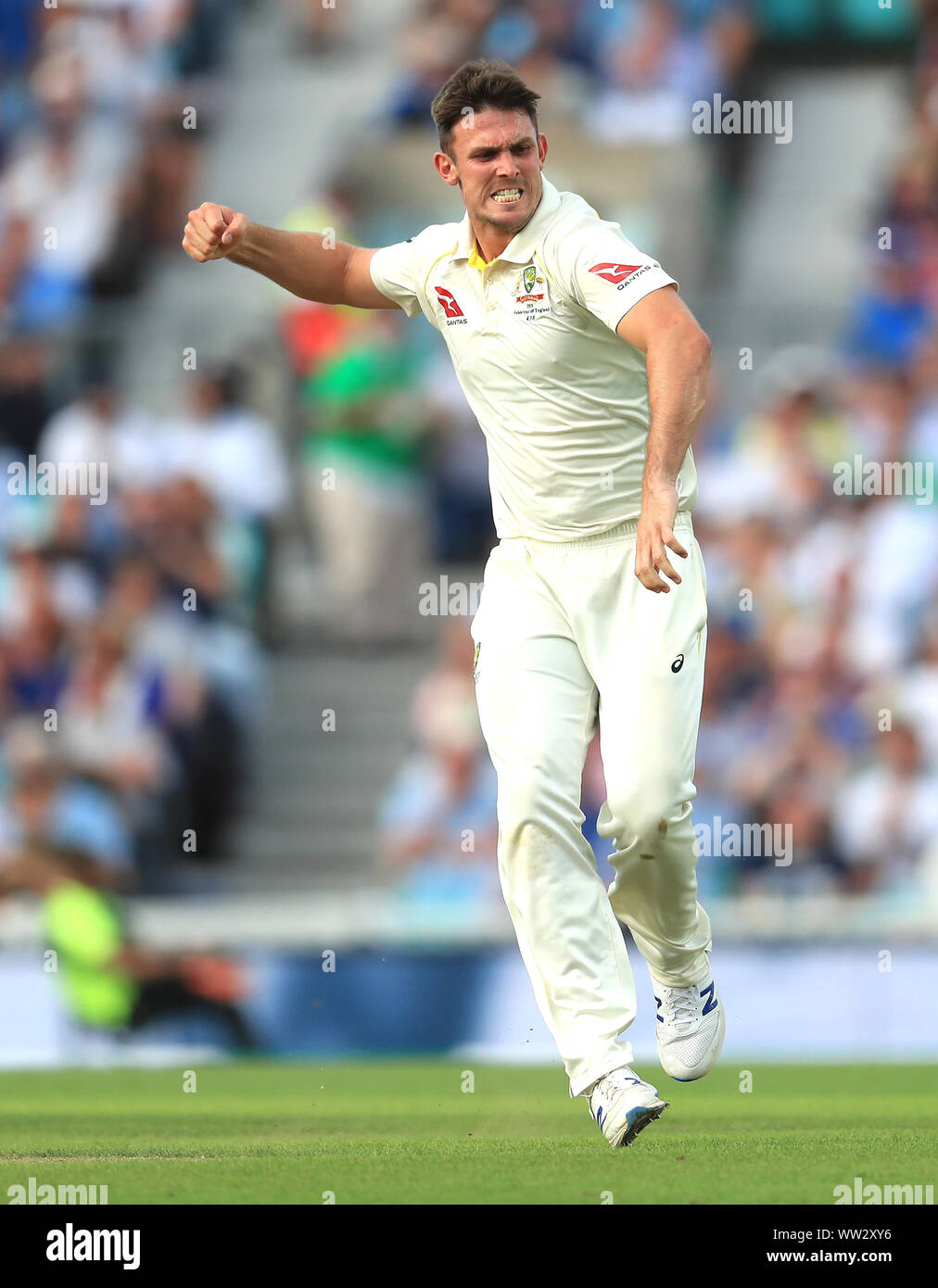 Wicket australias mitchell marsh hi-res stock photography and images ...