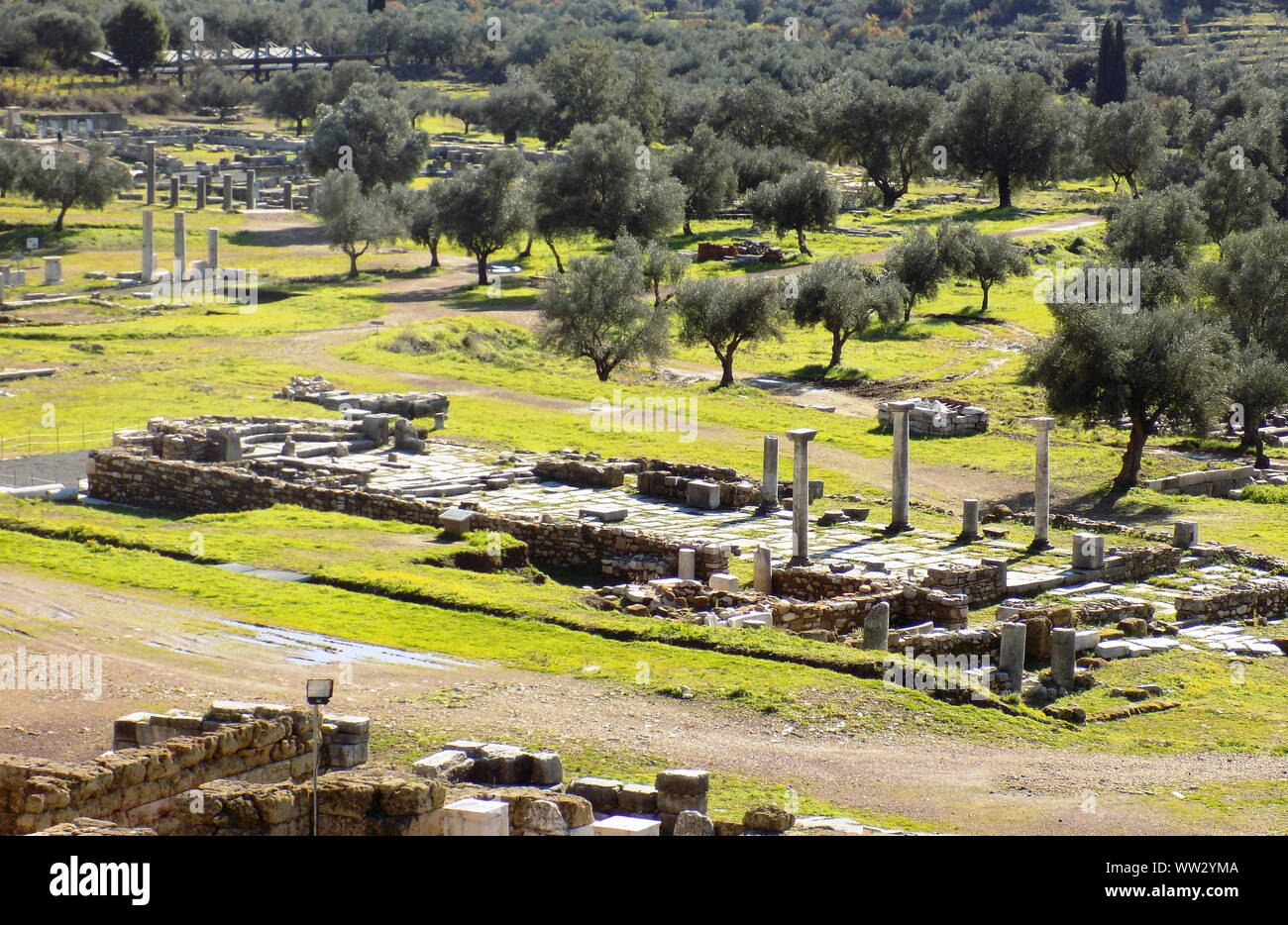 ancient, town, archeological, place, Messini, Messinia, Greece Stock ...