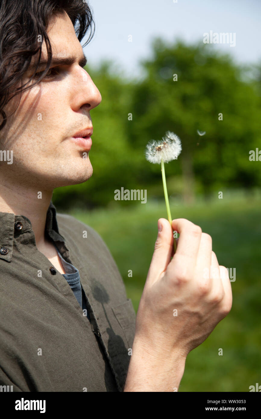Man blowing dandelion hi-res stock photography and images - Alamy