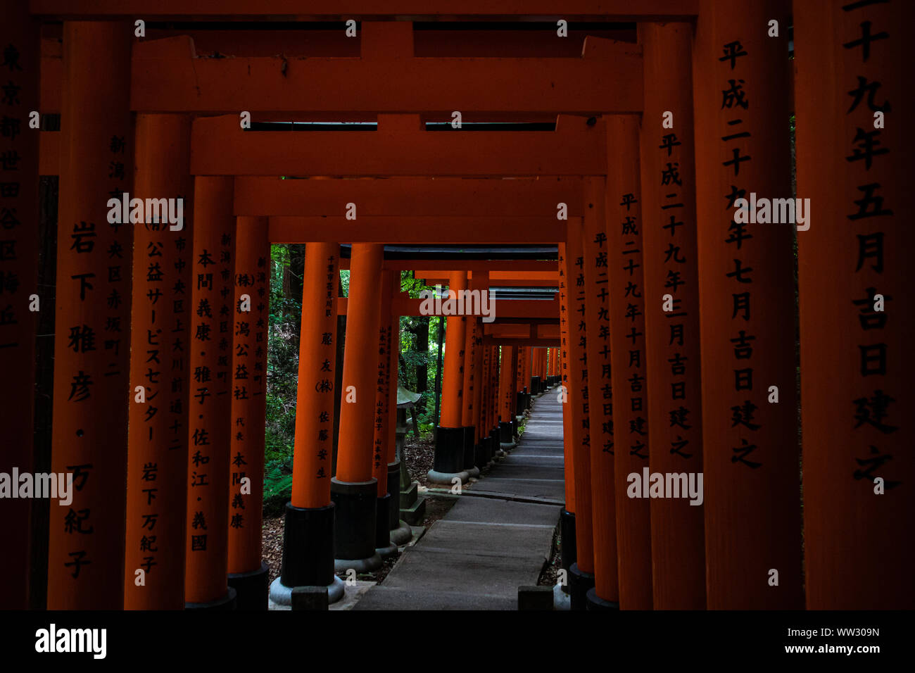 Torii japan hi-res stock photography and images - Alamy
