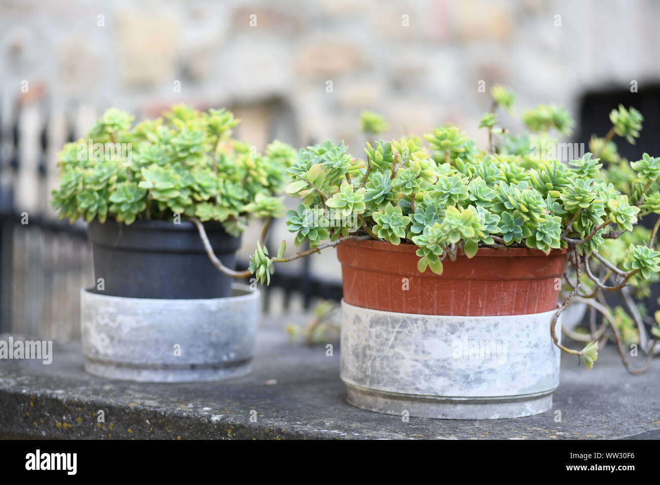 Old Town Italy, pots Stock Photo - Alamy
