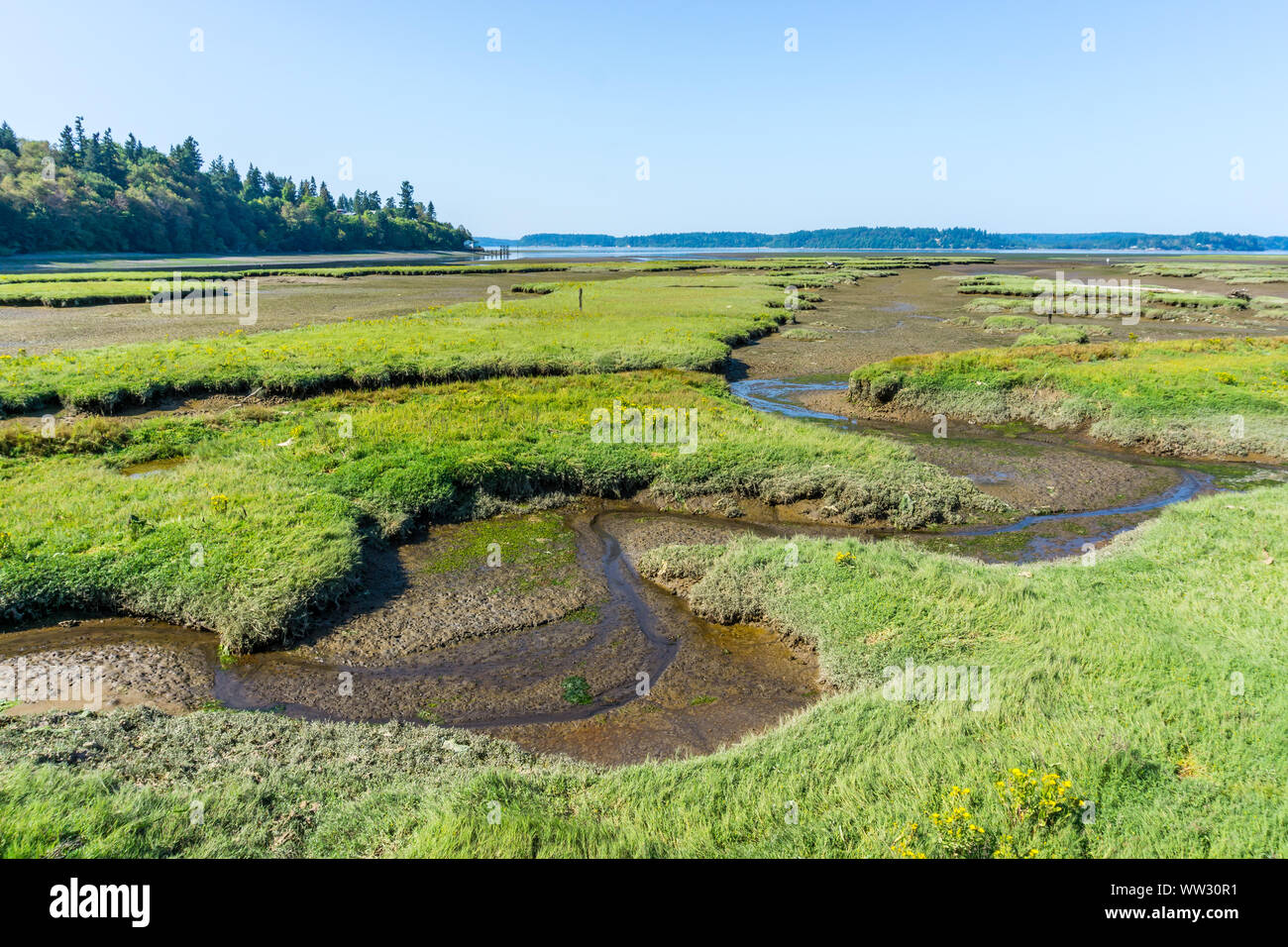 Grass mounds hi-res stock photography and images - Alamy