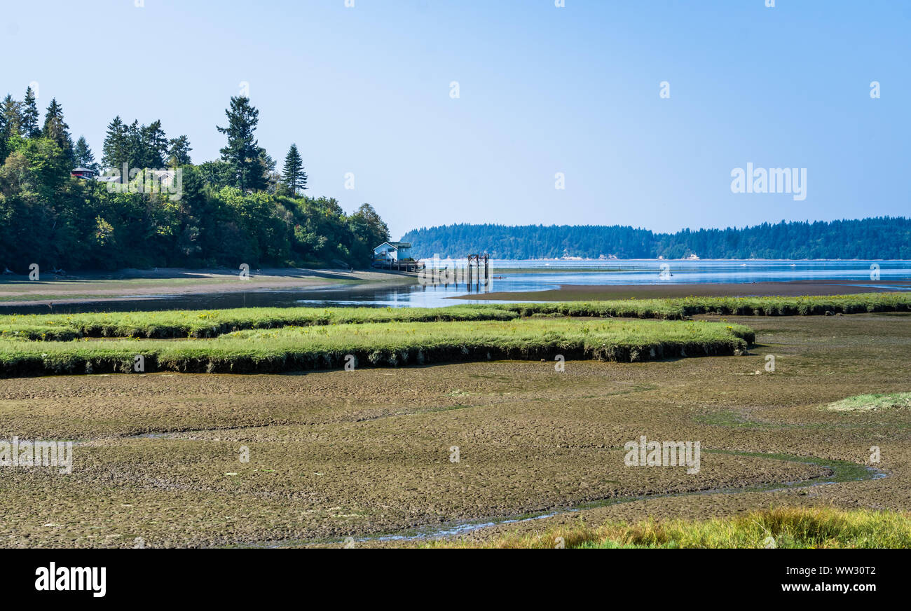 The Nisqually River flows past mud flats in the Nisqually Wetlands near ...