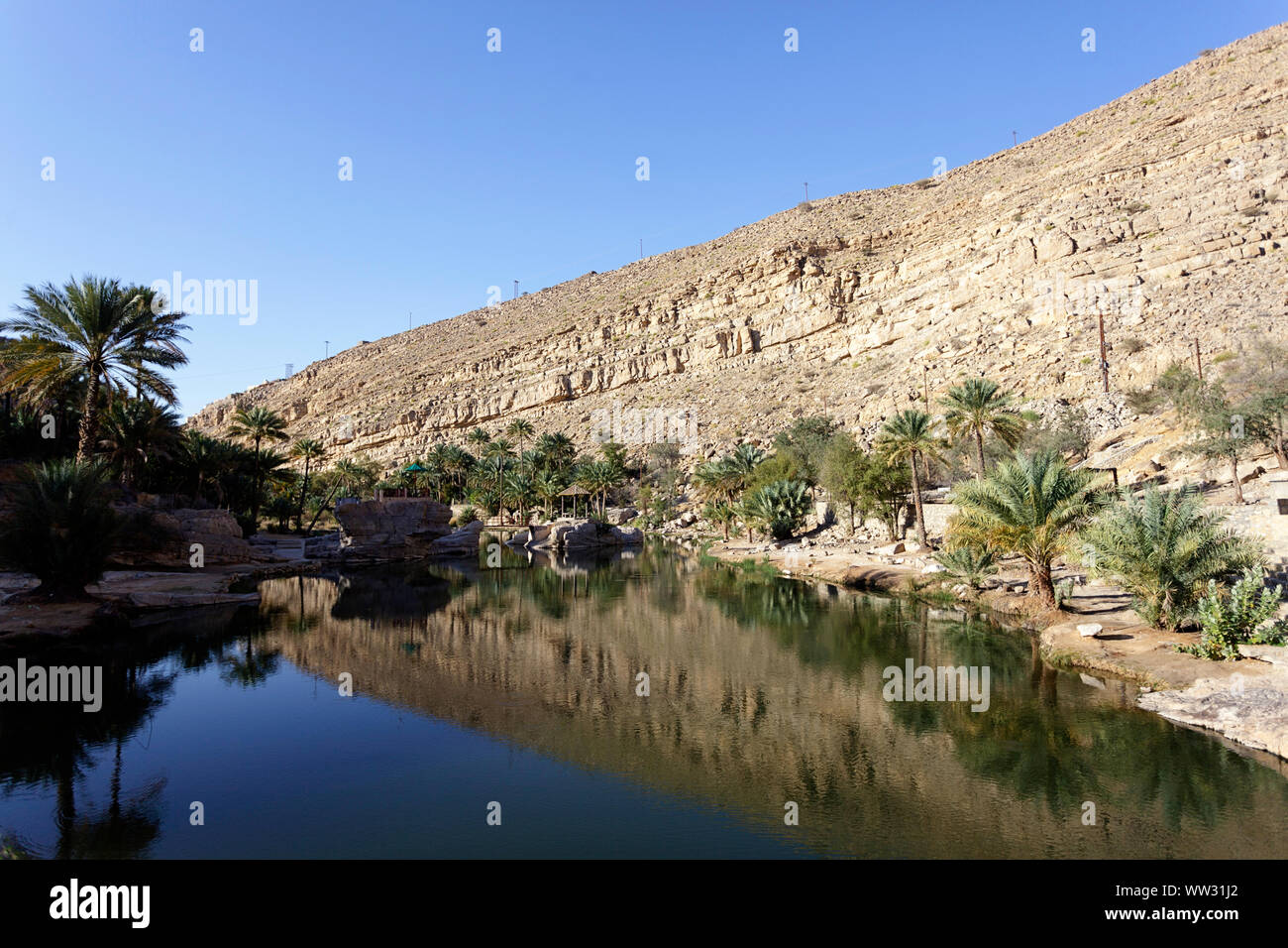 Middle East Desert Oasis