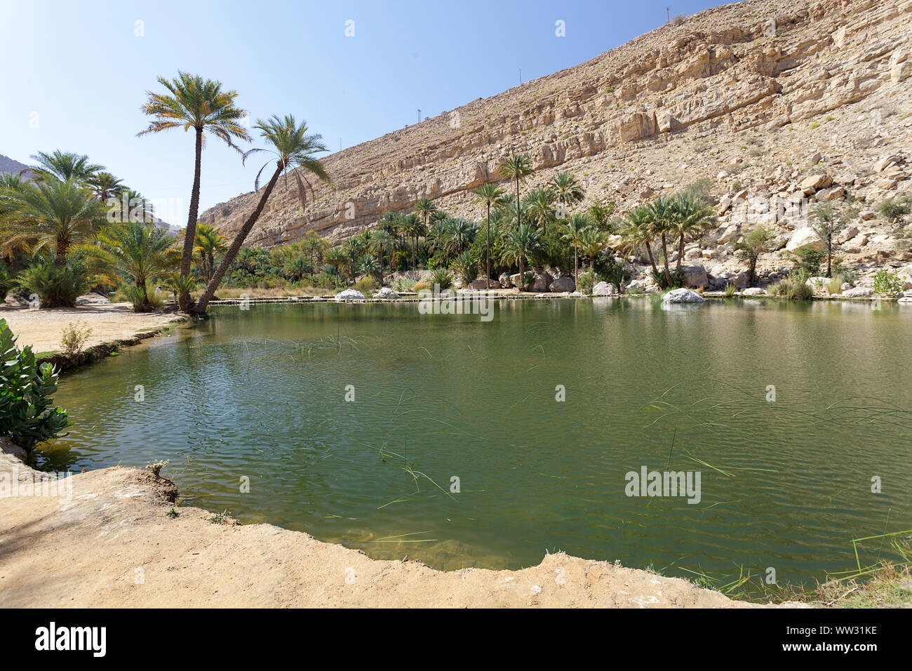Desert oasis pool hi-res stock photography and images - Alamy