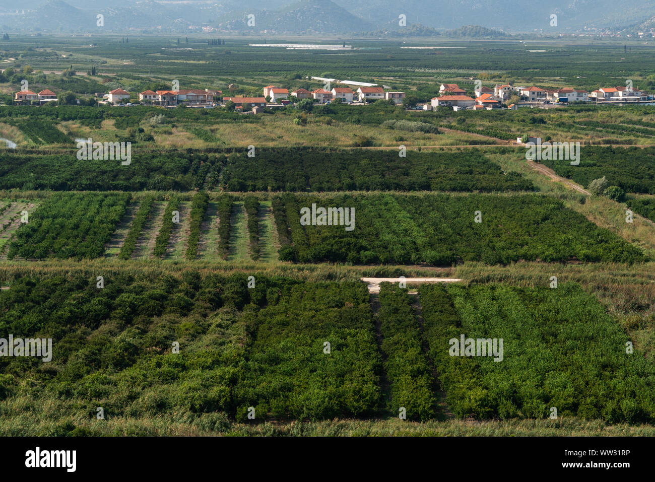 Top view of agricultural land. Valley of fields and fruit farms with ...