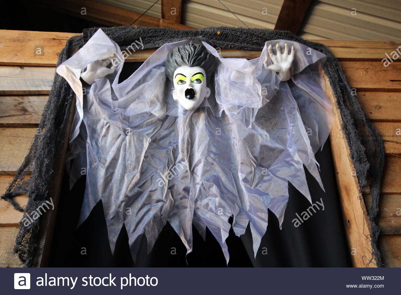 Scary Arms High Resolution Stock Photography and Images - Alamy