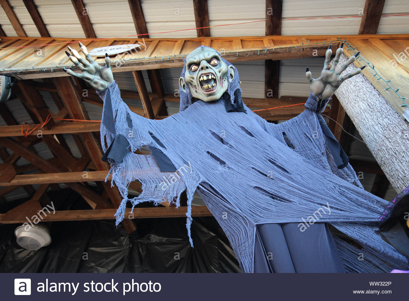 Ghoul Halloween Stock Photos & Ghoul Halloween Stock Images - Alamy