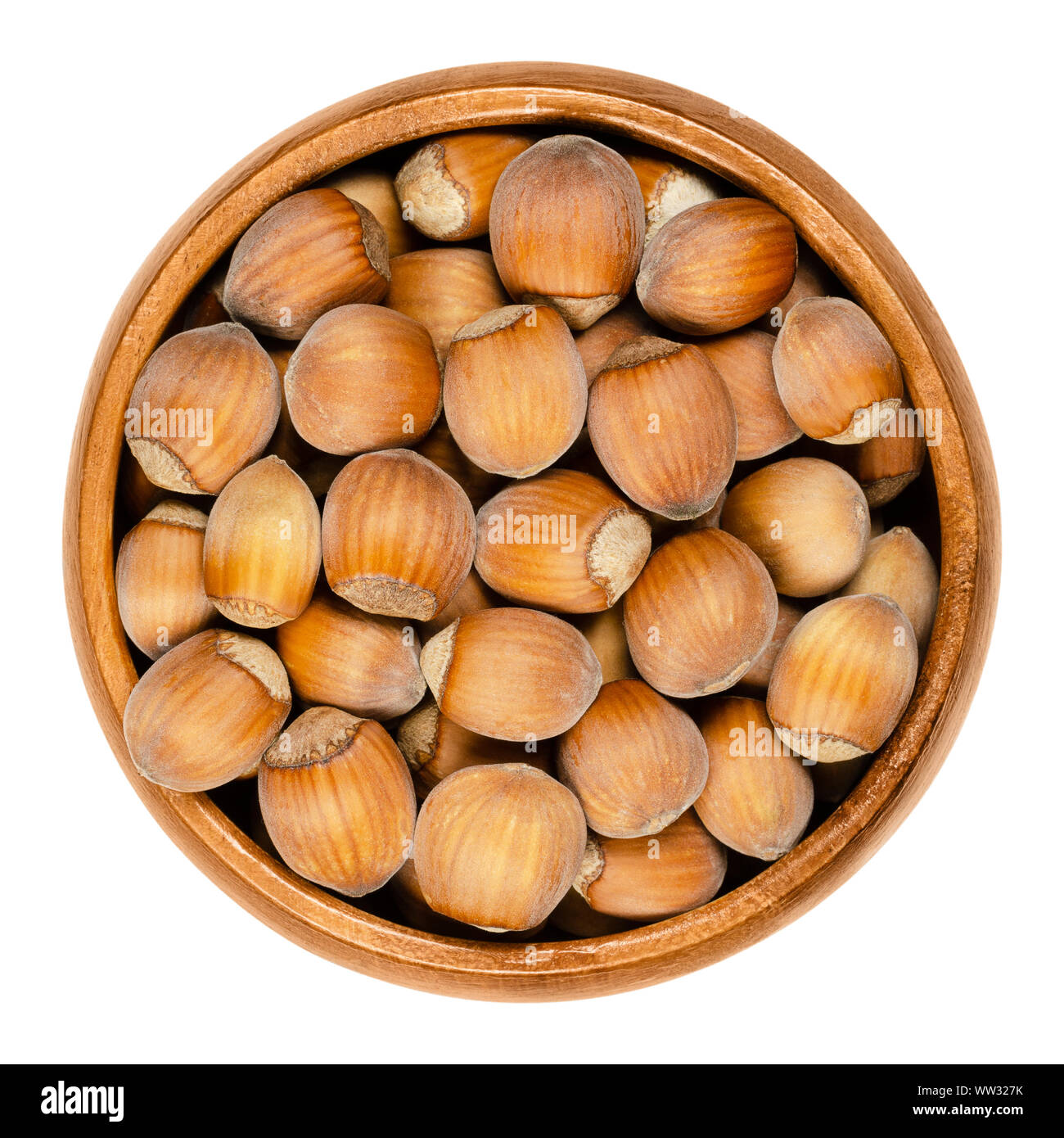 Cob nuts on hazel hi-res stock photography and images - Alamy