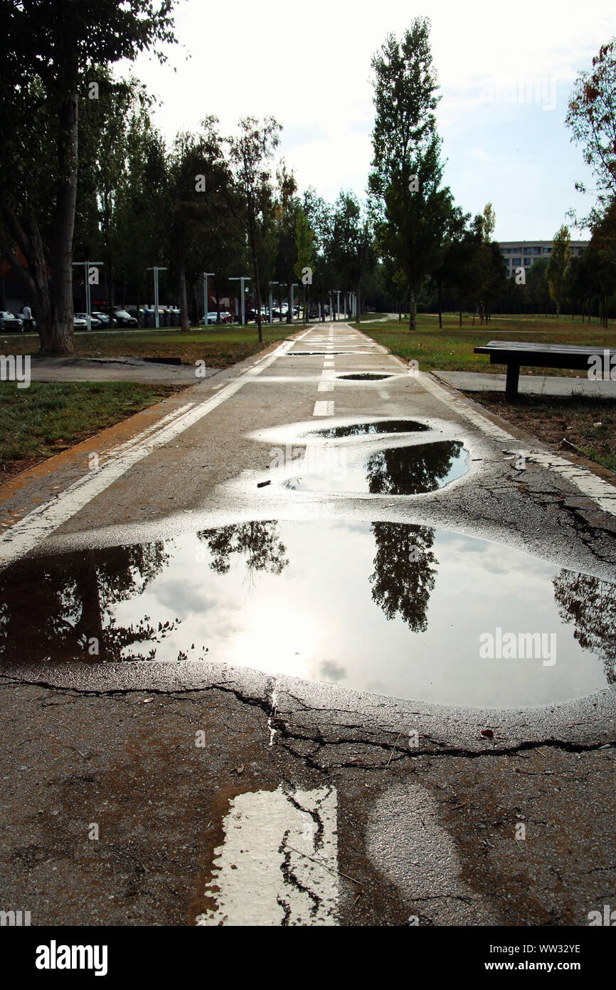 Puddle of water on asphalt and old road and reflecting some trees Stock ...