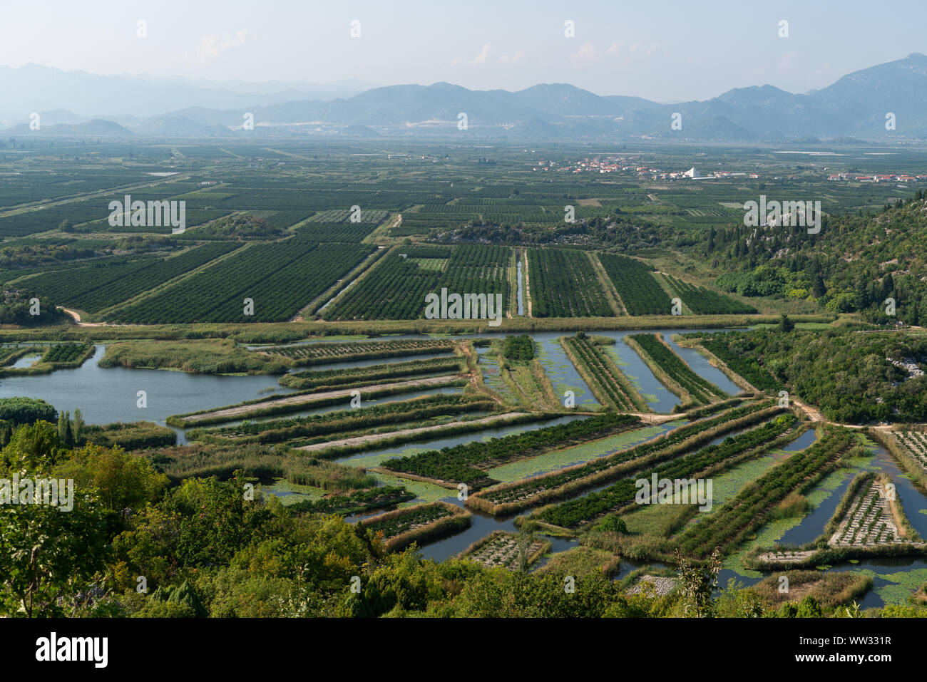 Top view of agricultural land. Valley of fields and fruit farms with ...