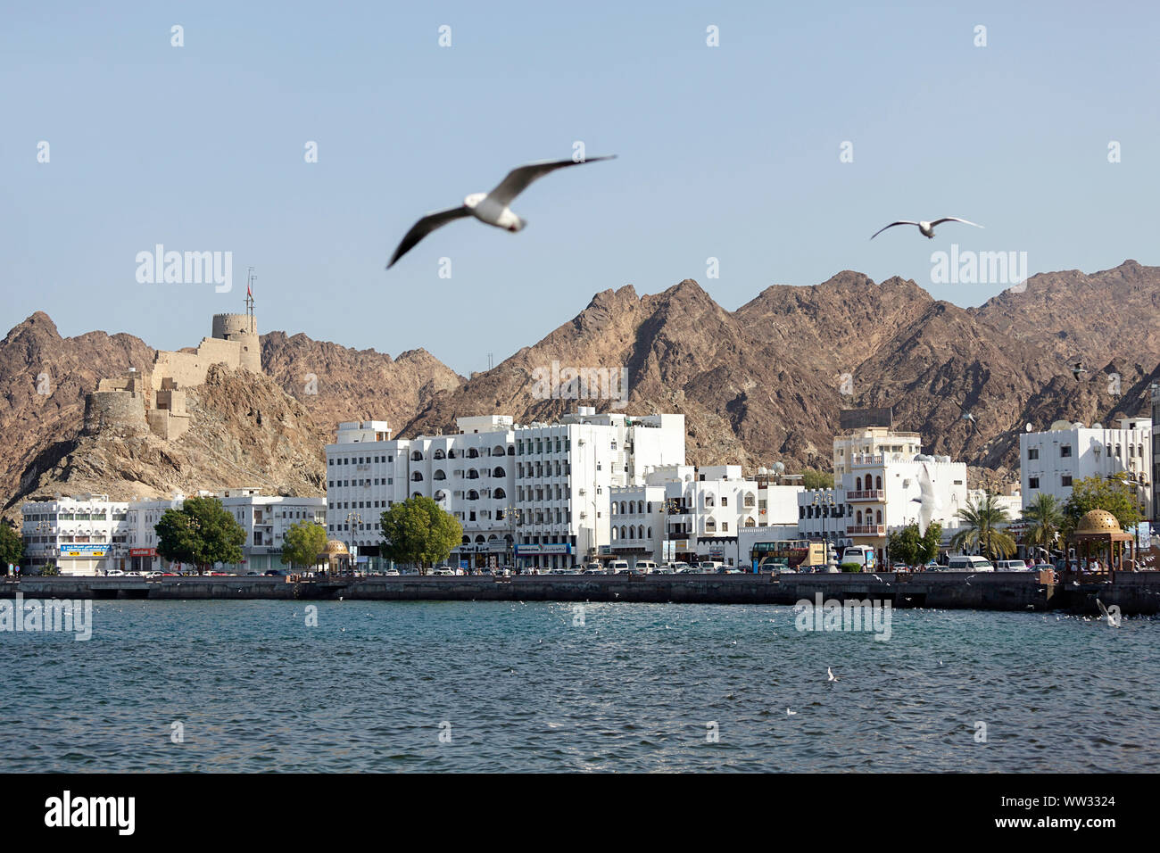 Corniche road in muscat oman hi-res stock photography and images - Alamy