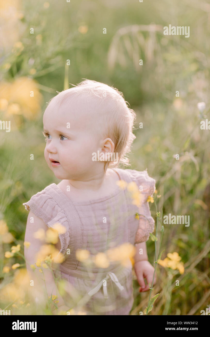 Baby Girl in Golden Hour Field Stock Photo - Alamy
