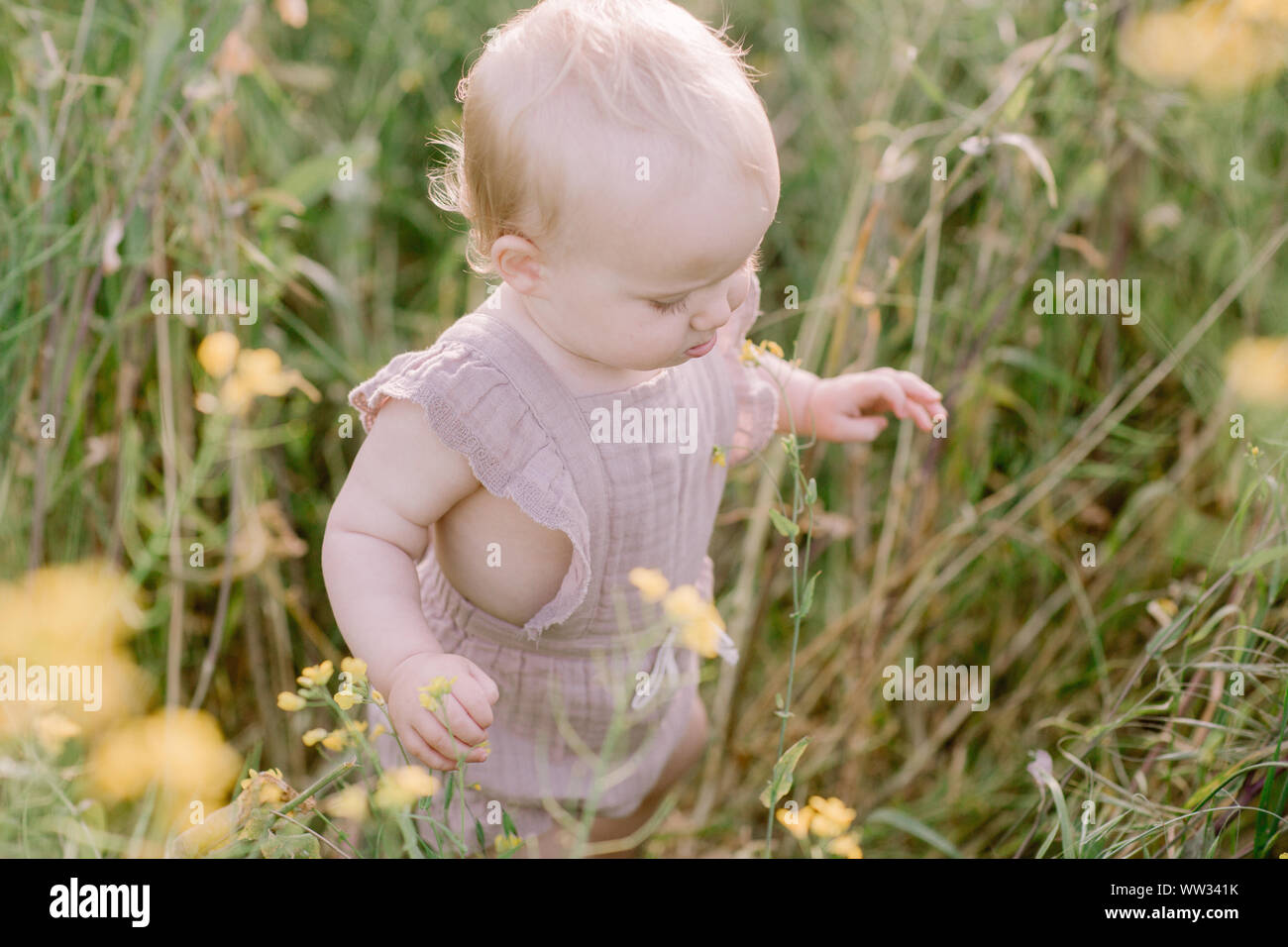 Baby Girl Exploring nature in Summer Stock Photo - Alamy