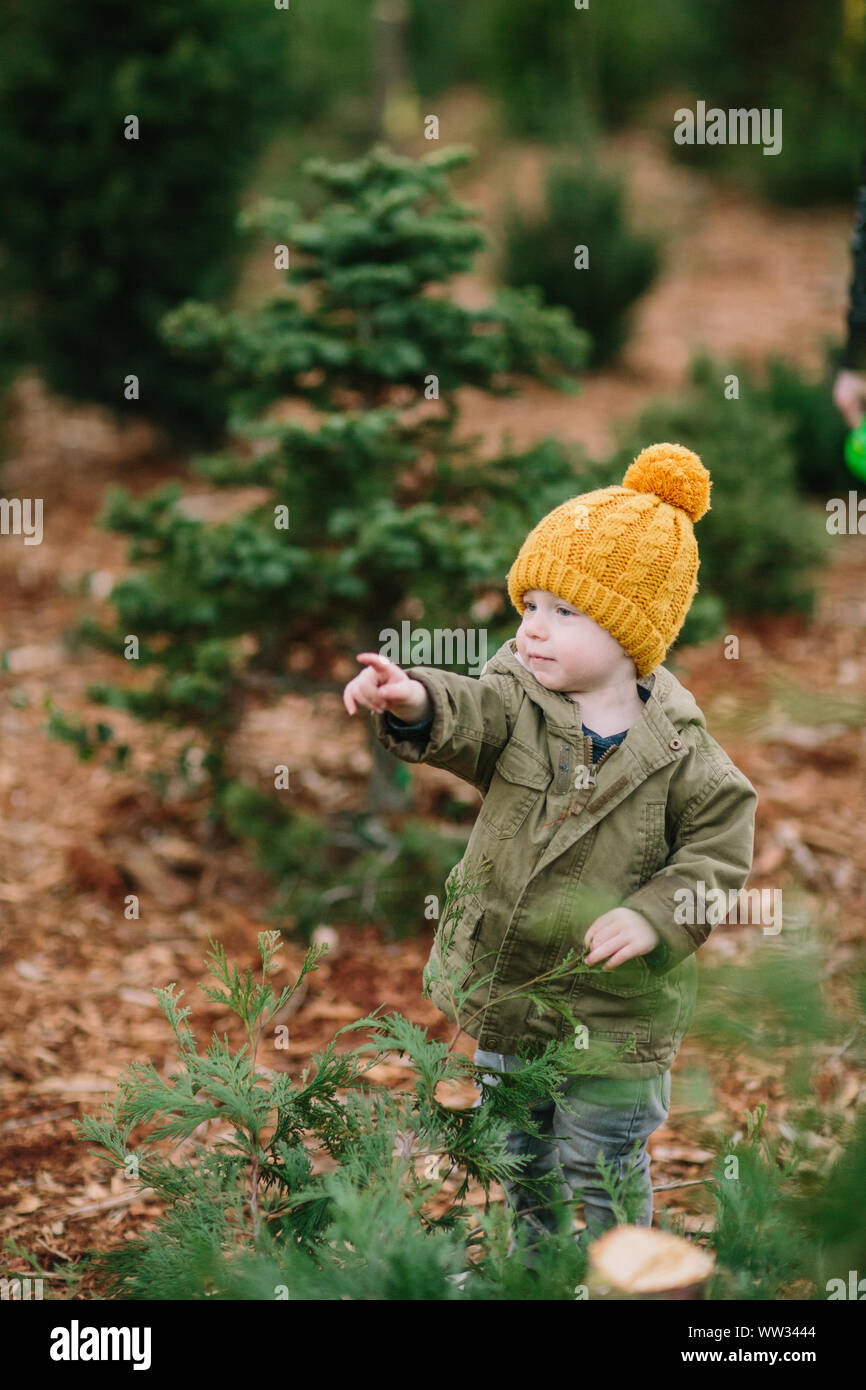 Child pointing at trees hi-res stock photography and images - Alamy