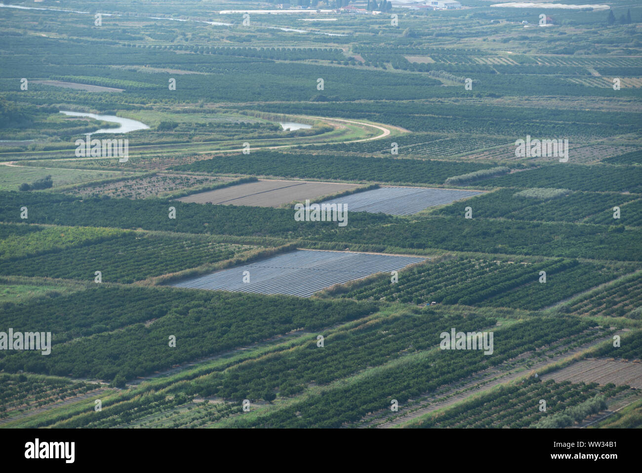 Top view of agricultural land. Valley of fields and fruit farms with ...