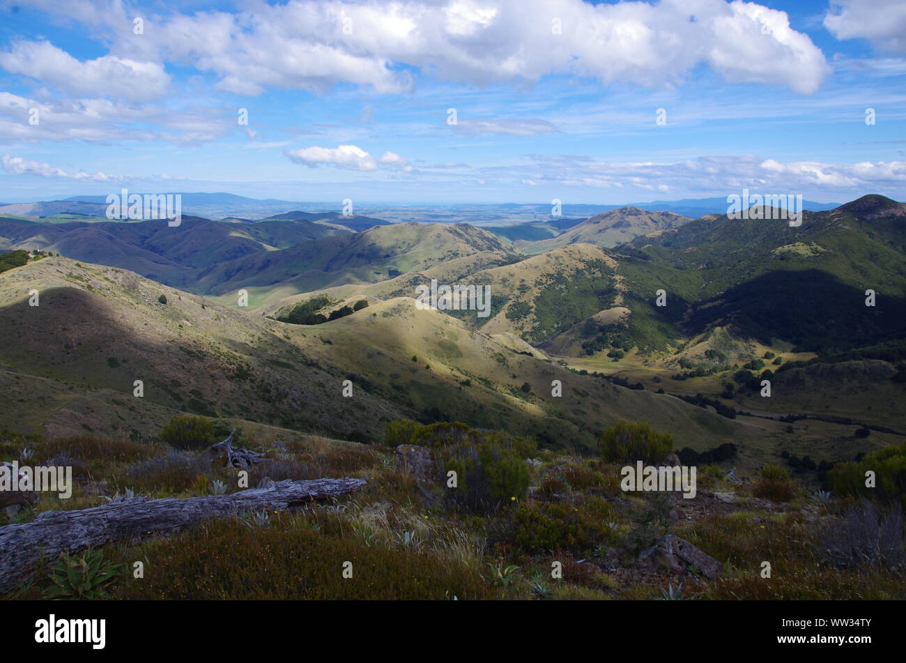 Te Araroa Trail. Takitimu Track. Southland. South Island. New Zealand ...