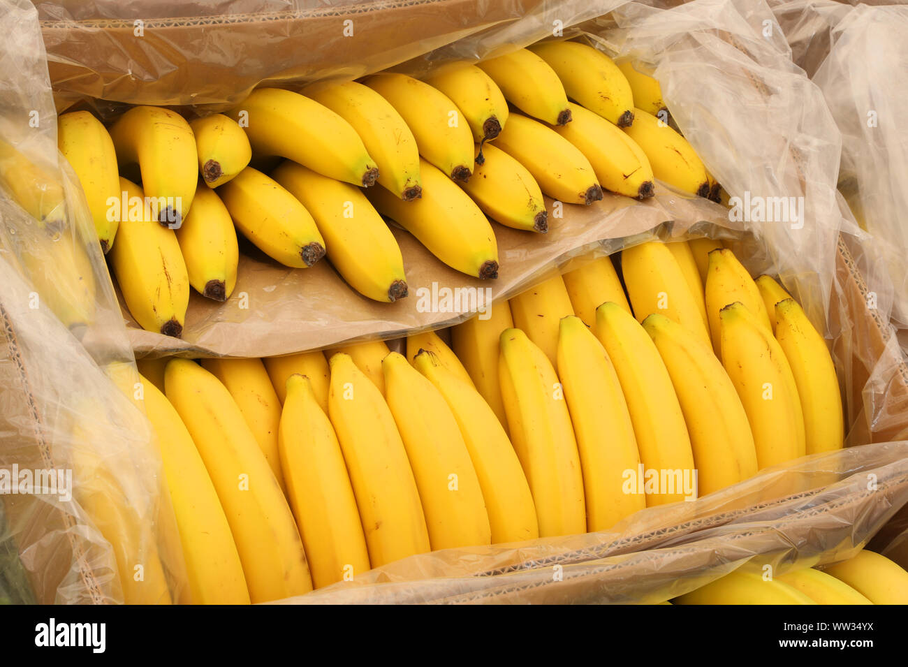 Yellow ripe bananas on the box for sale at market Stock Photo - Alamy