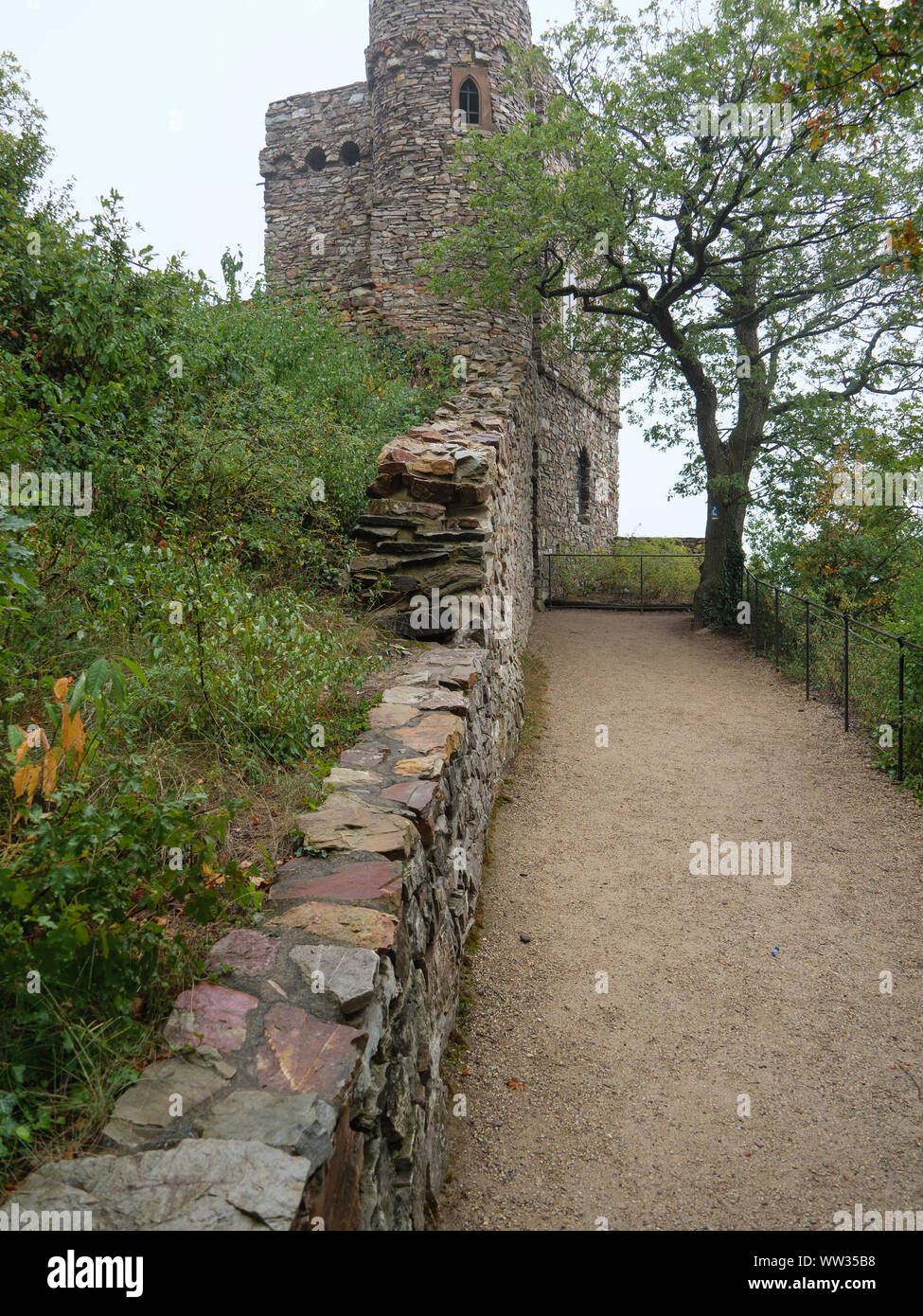 Castle at the rhine Stock Photo - Alamy