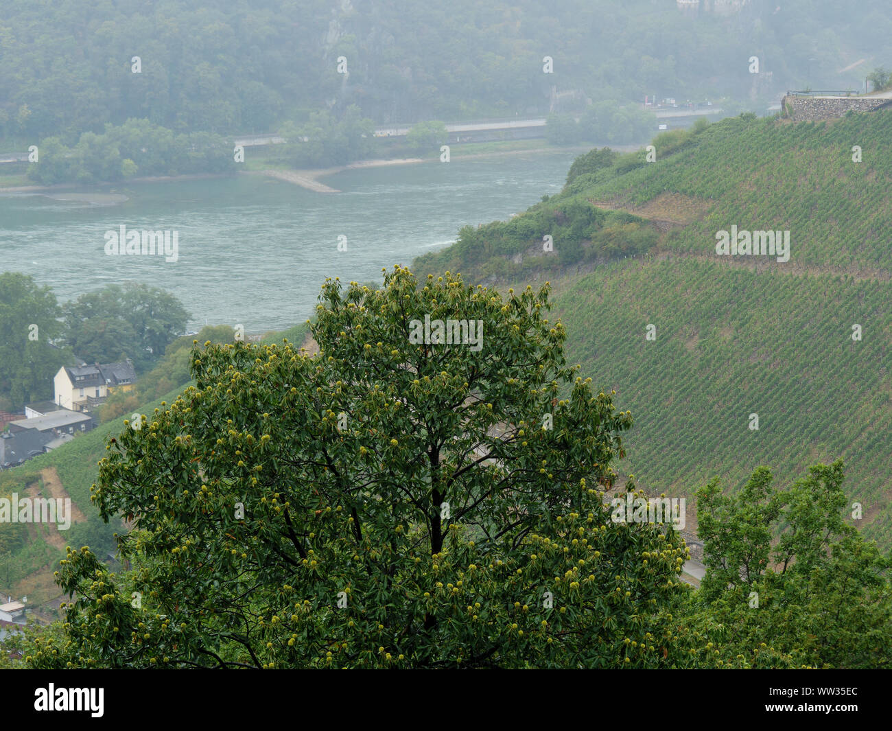 Nesar hi-res stock photography and images - Alamy