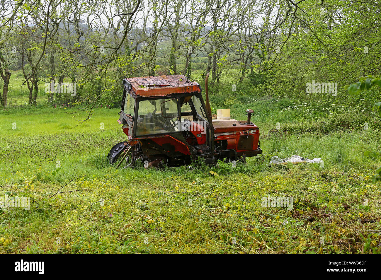 An old abandoned farm tractor in a field at St Mary's Island, Isles of ...