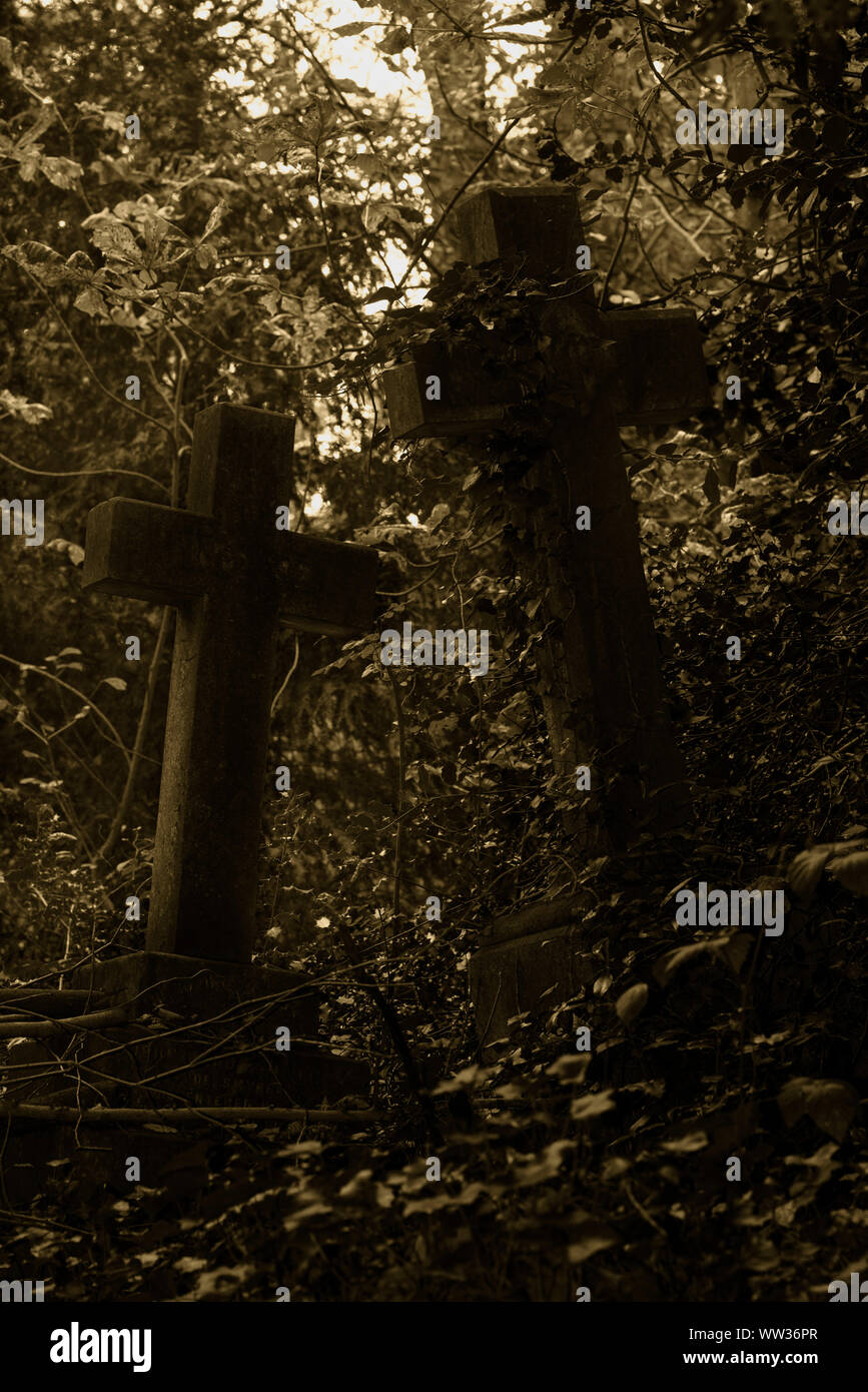 Overgrown crosses in a Victorian cemetery. Halloween or horror ...