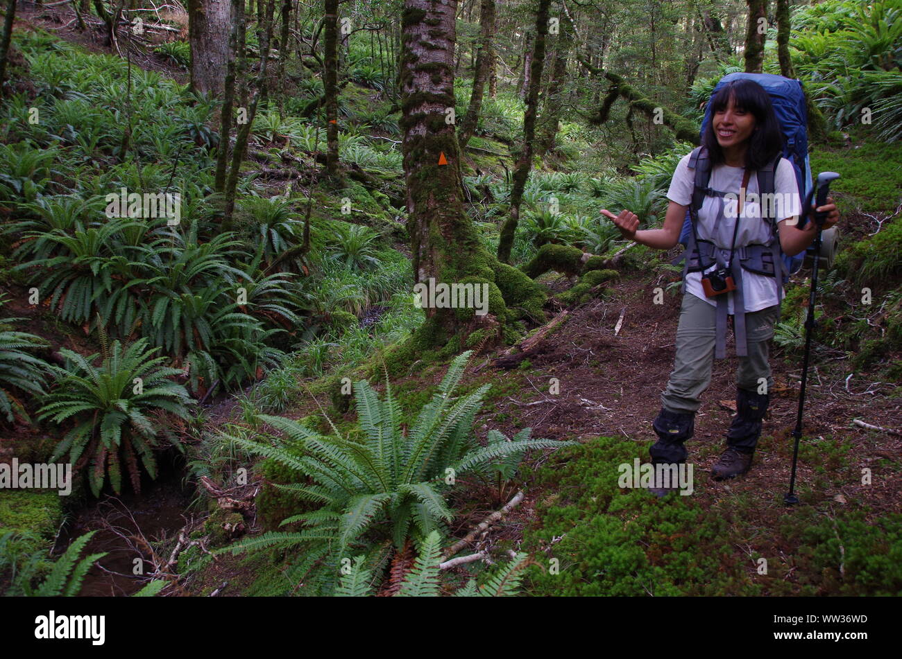 Female Thai backpacker. Te Araroa Trail. Takitimu Track. Southland ...