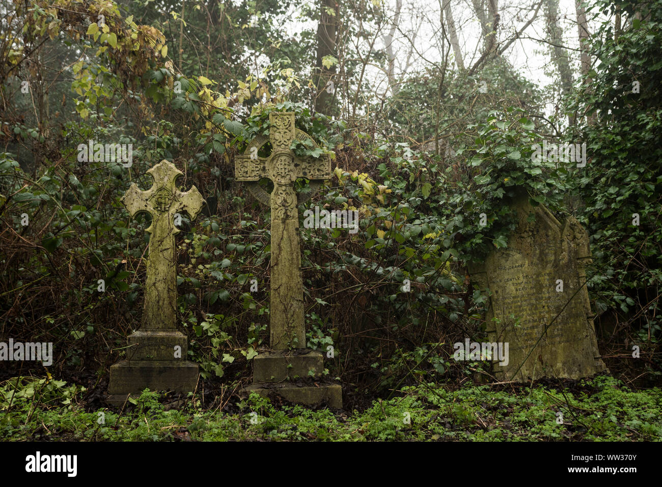 Overgrown gothic graveyard hi-res stock photography and images - Alamy
