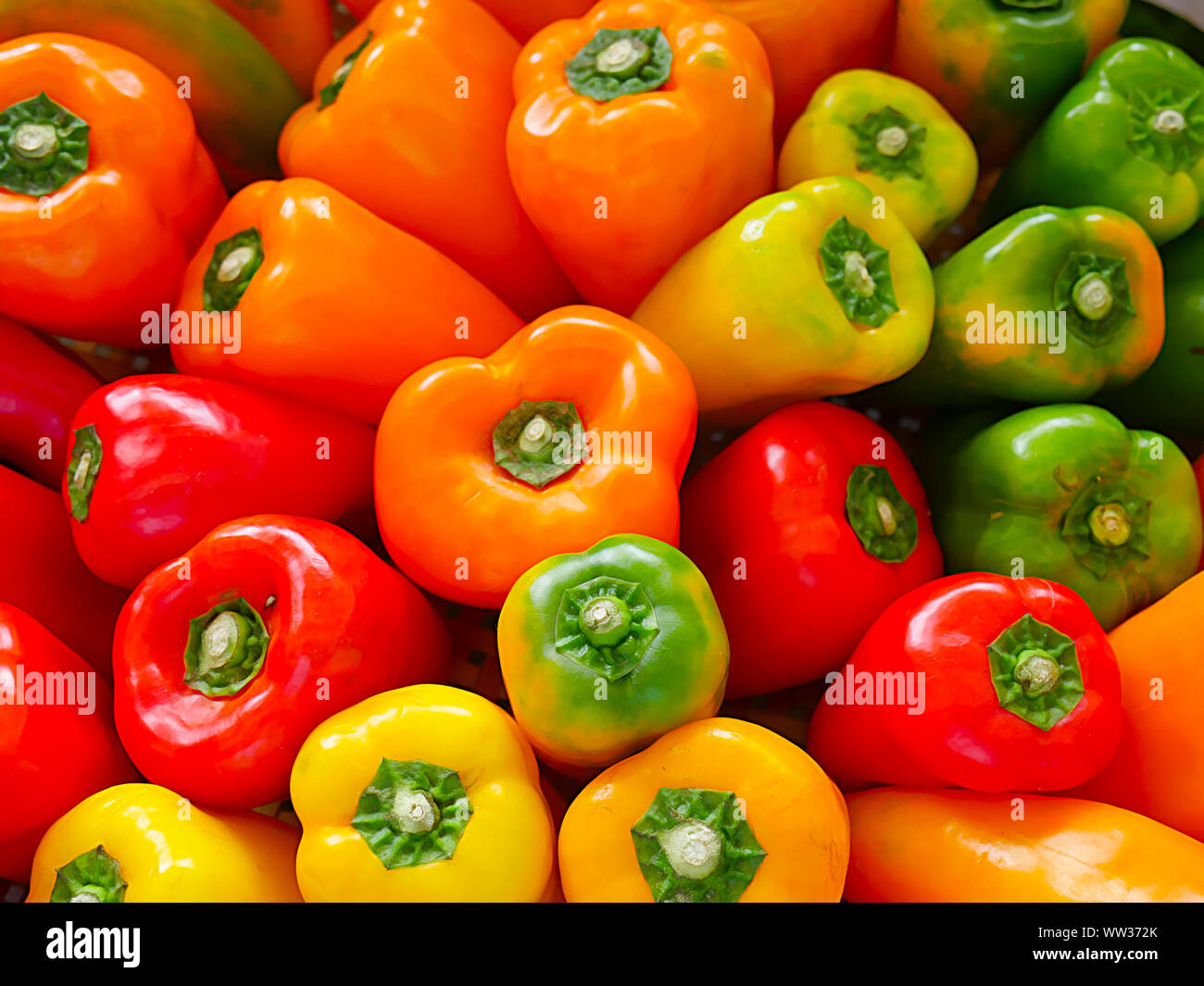 Colorful bell peppers hi-res stock photography and images - Alamy