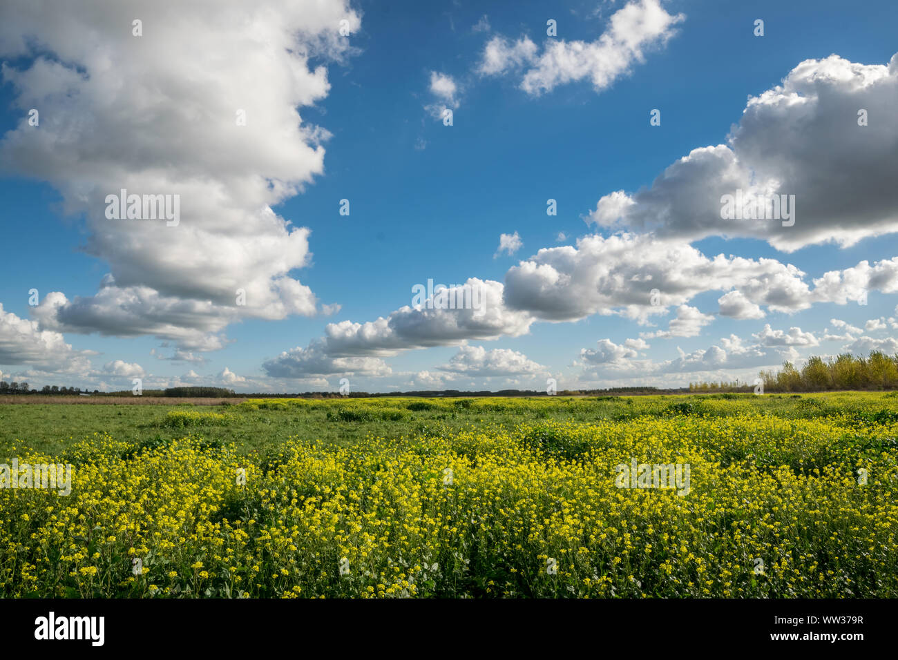Cloud street hi-res stock photography and images - Alamy
