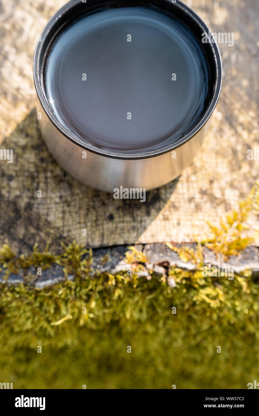 Cup of coffee or tea on a moss covered tree stump in sunlight in the ...
