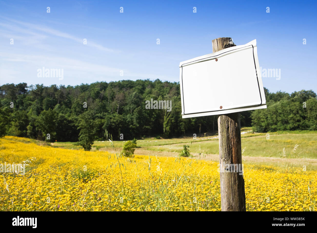 Wooden blank sign indicating in the countryside - image with copy space ...
