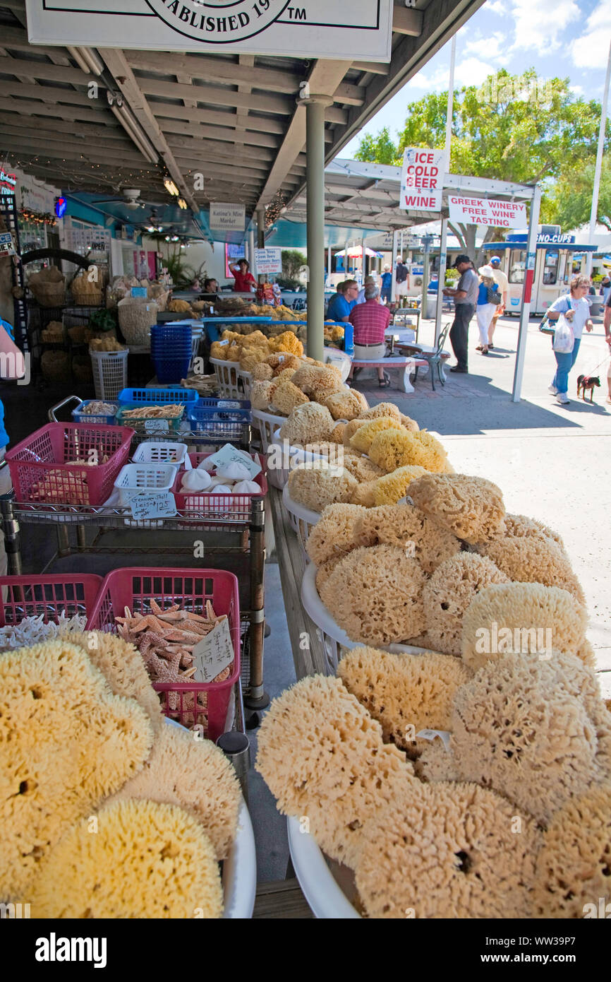 Tarpon Springs, Florida Seaport, USA, traditional Greek Sponge Industry ...