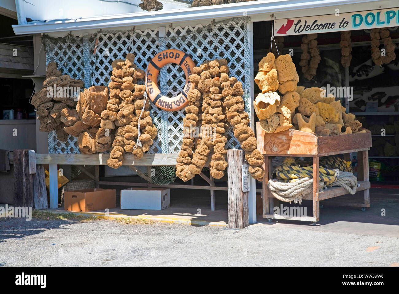 Tarpon Springs, Florida Seaport, USA, traditional Greek Sponge Industry ...