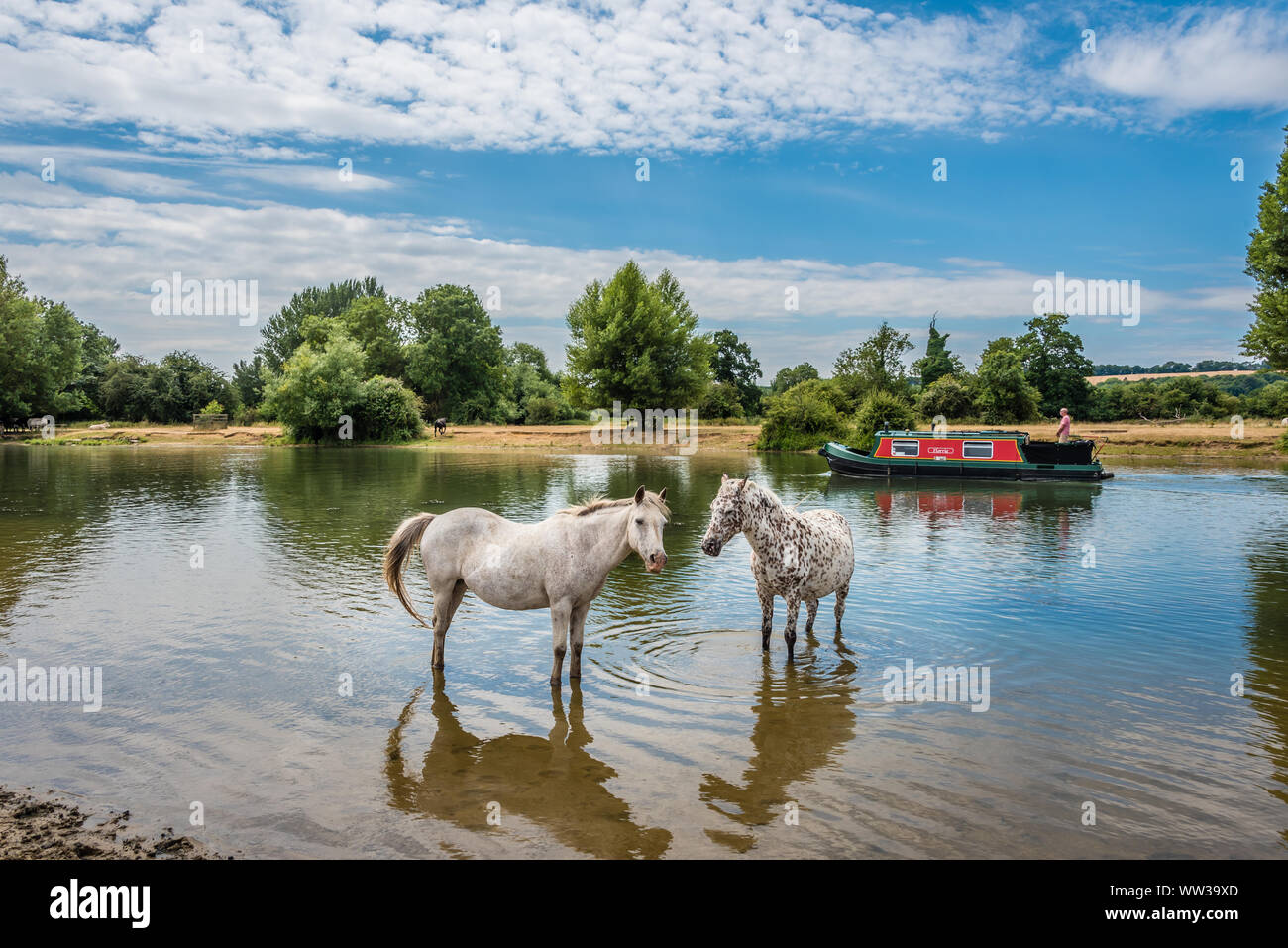 Port Meadow, Oxford, UK Stock Photo - Alamy