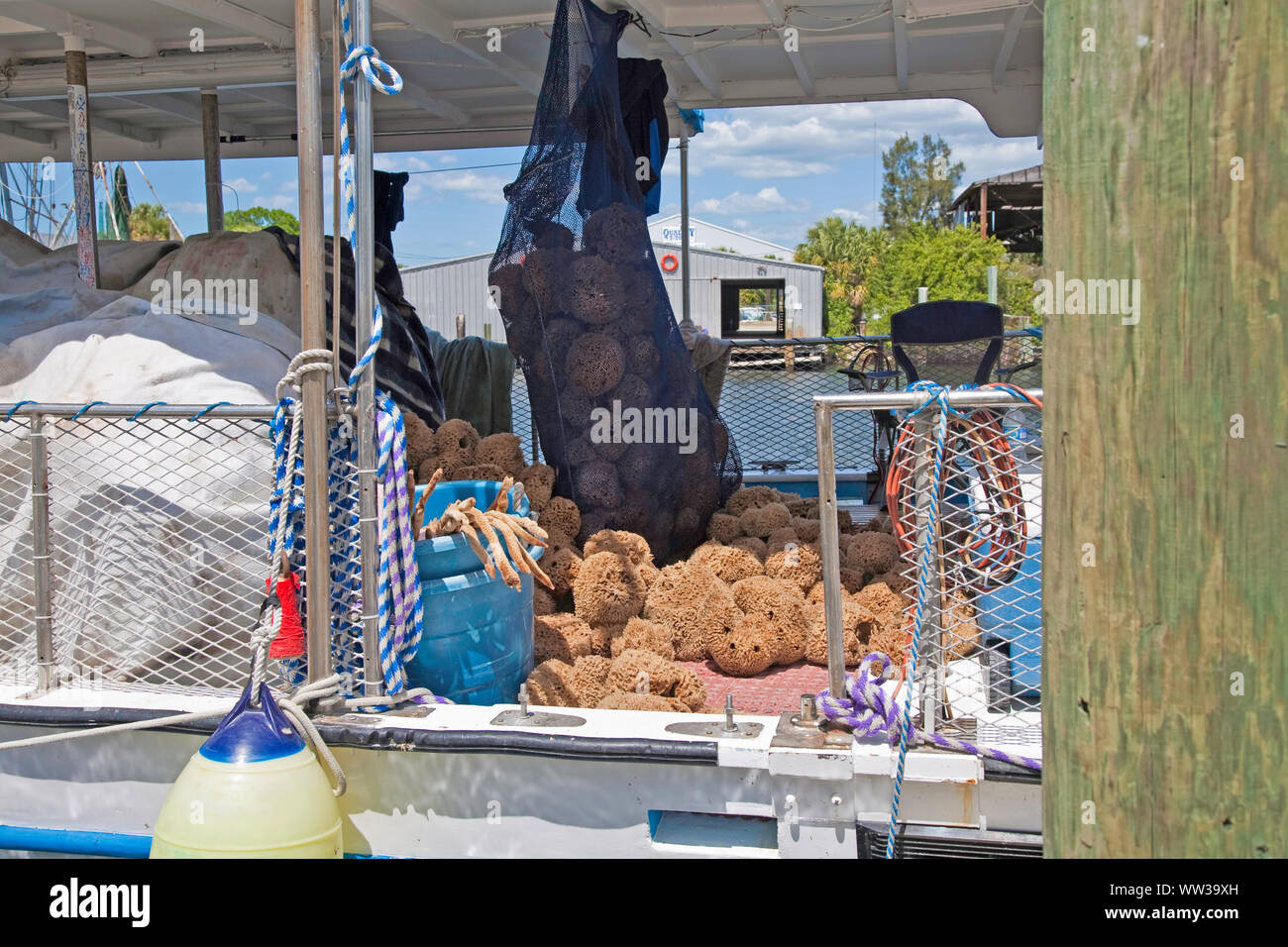 Tarpon Springs, Florida Seaport, USA, traditional Greek Sponge Industry ...