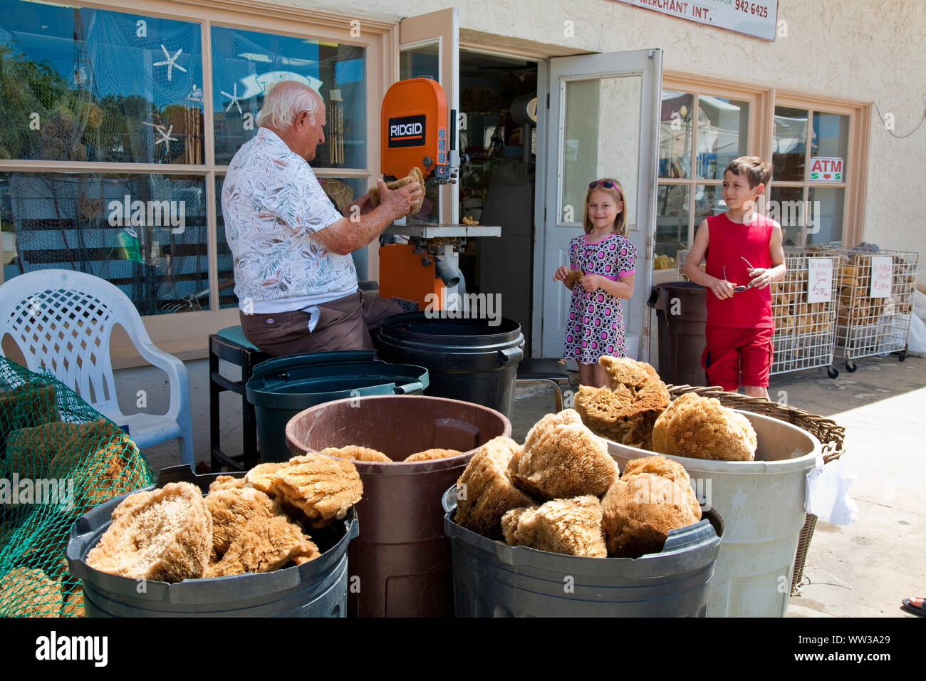 Tarpon Springs, Florida Seaport, USA, traditional Greek Sponge Industry ...