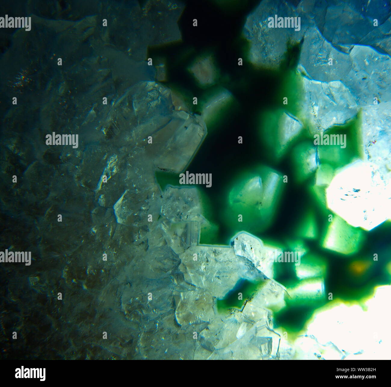 A closeup-macro photograph of a green agate Geode crystal geological ...